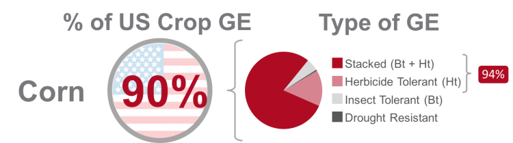 Genetically Engineered Food - Feed Them Wisely