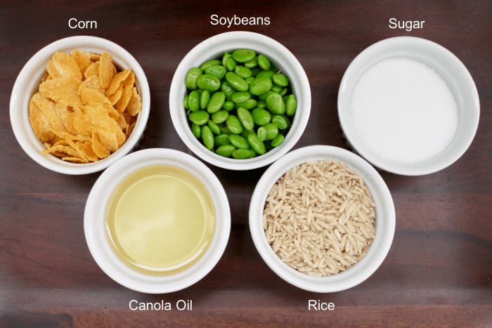 Genetically Engineered Food - Feed Them Wisely