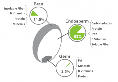 Why we should eat more whole grains - Feed Them Wisely