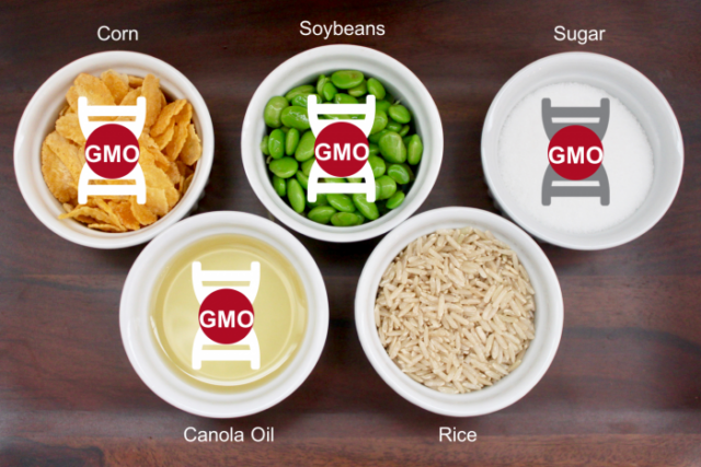 Genetically Engineered Food - Feed Them Wisely